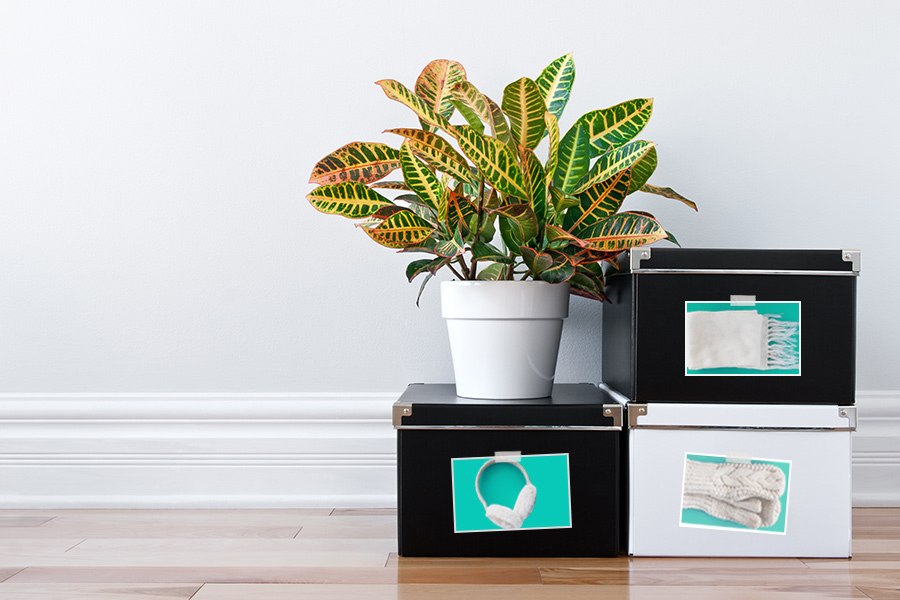 Unique Things You Can Create on a Home Photo Printer